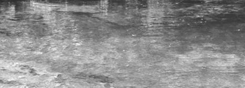 AR Coating - The Lab